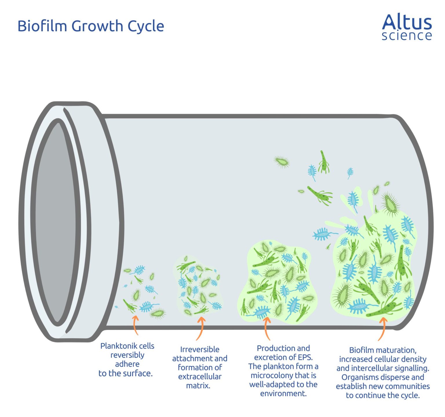 What Is Total Organic Carbon (TOC) in Pharma Water?Altus Science ...